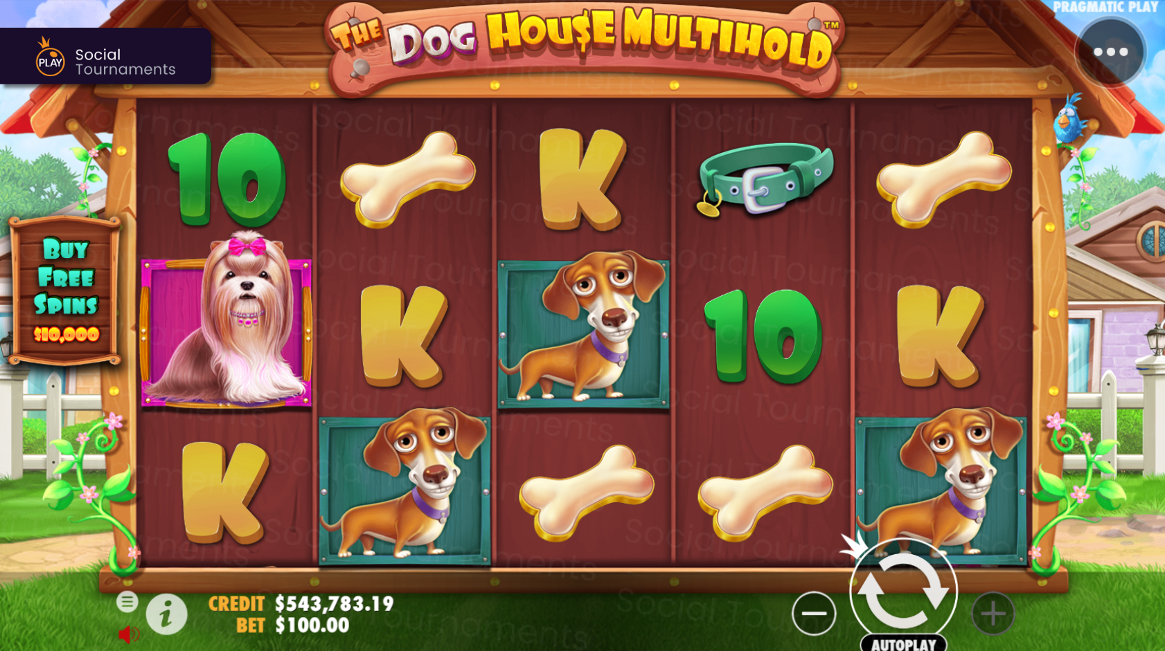 Play The Dog House Multihold Slot from Pragmatic Play